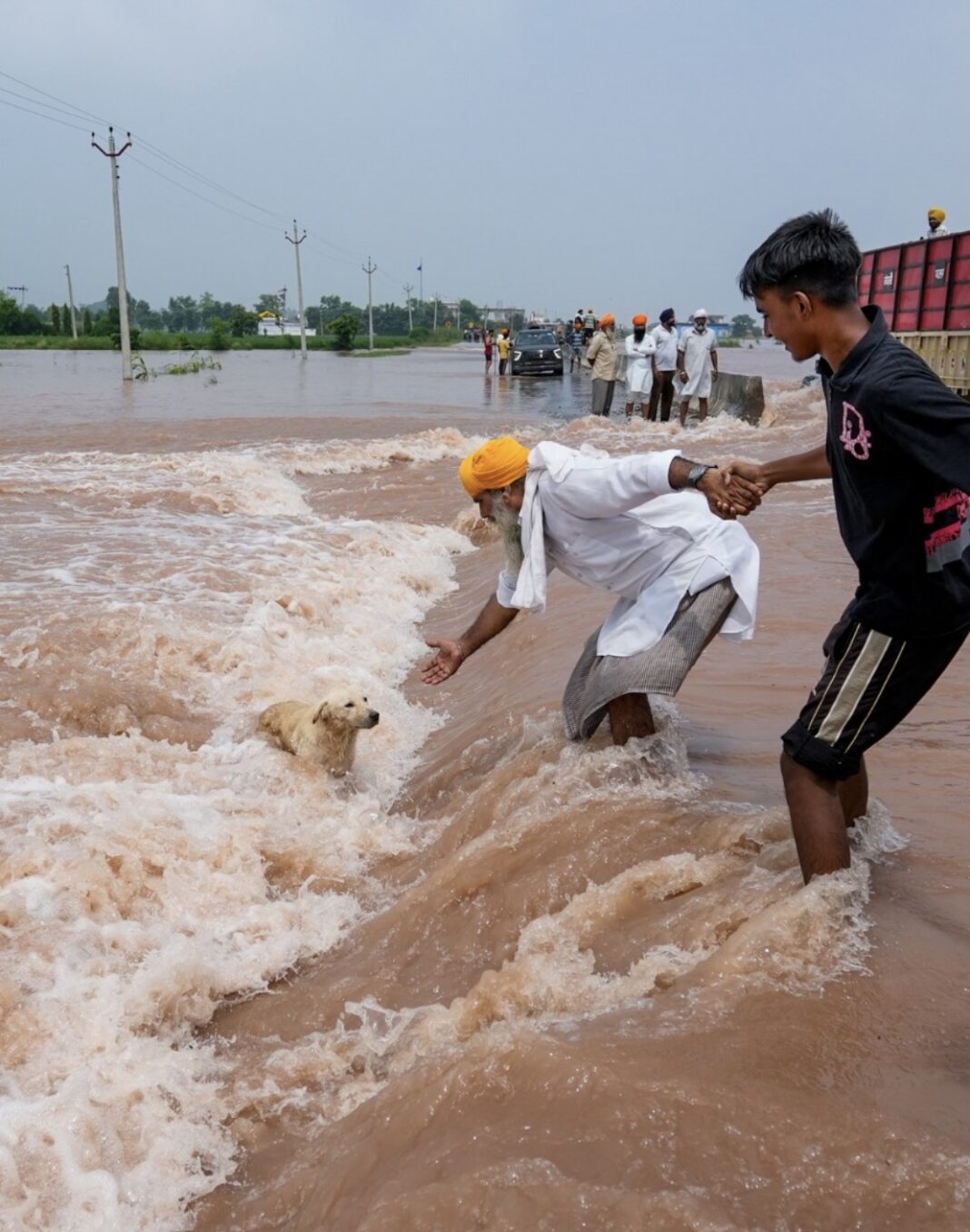 Punjab Floods: Villages Submerged, Crops Destroyed, Lives Lost